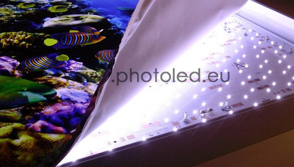 FRAMELESS LED LIGHTBOX - Photoled